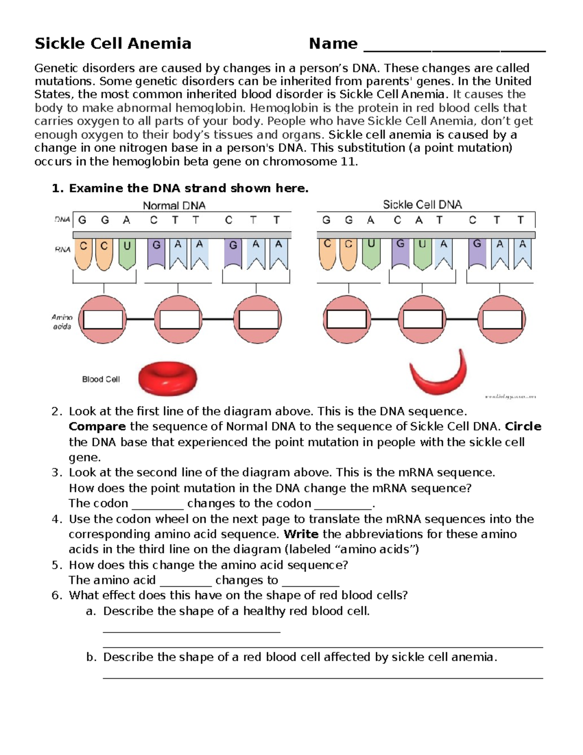 2024 05. Sickle Cell Anemia: Genetic Mutation Effects on Blood Flow ...