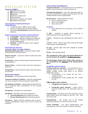 Nervous System - Nursing Note - N E R V O U S S Y S T E M Functions ...