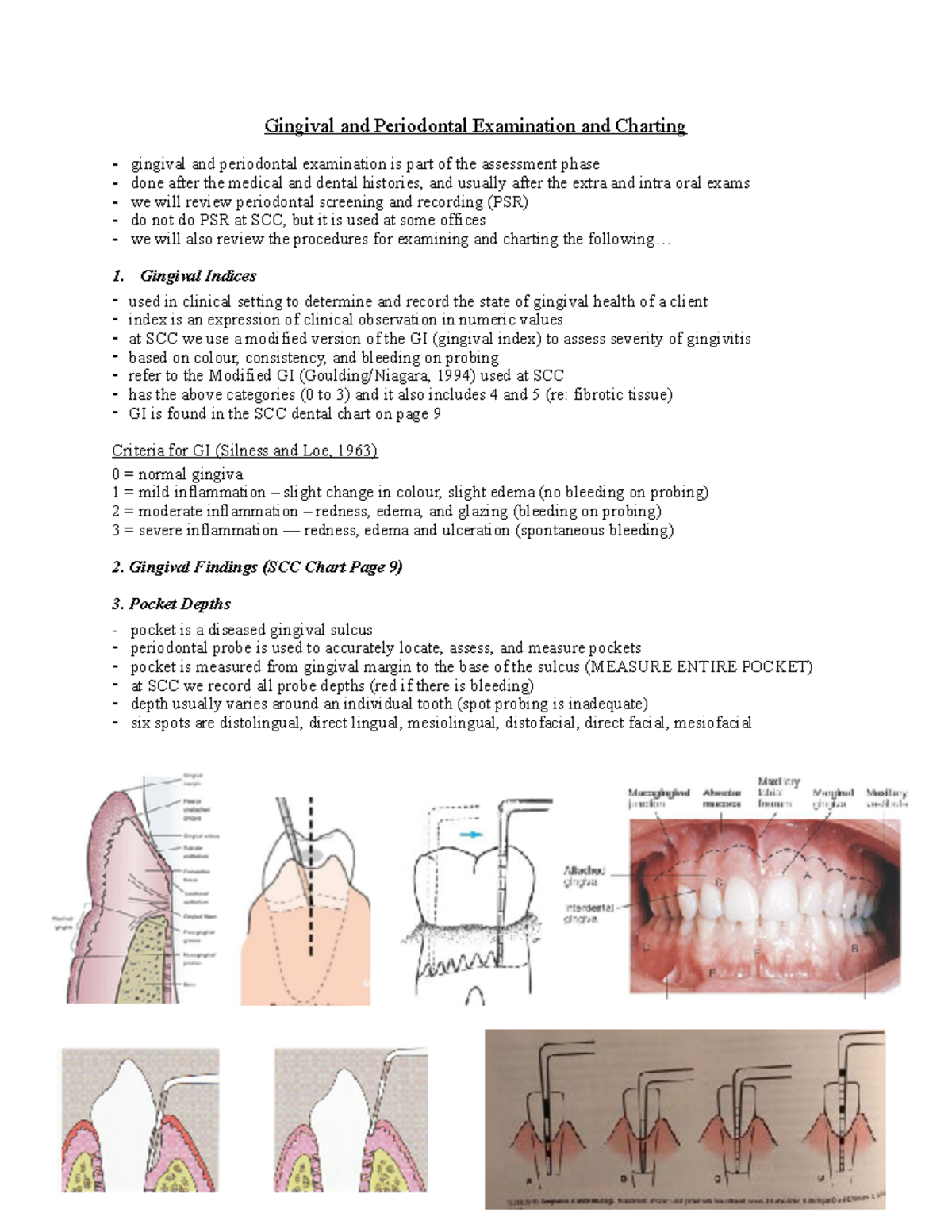 Gingival and Periodontal Examination Charting Guide (DENT 301) - Studocu
