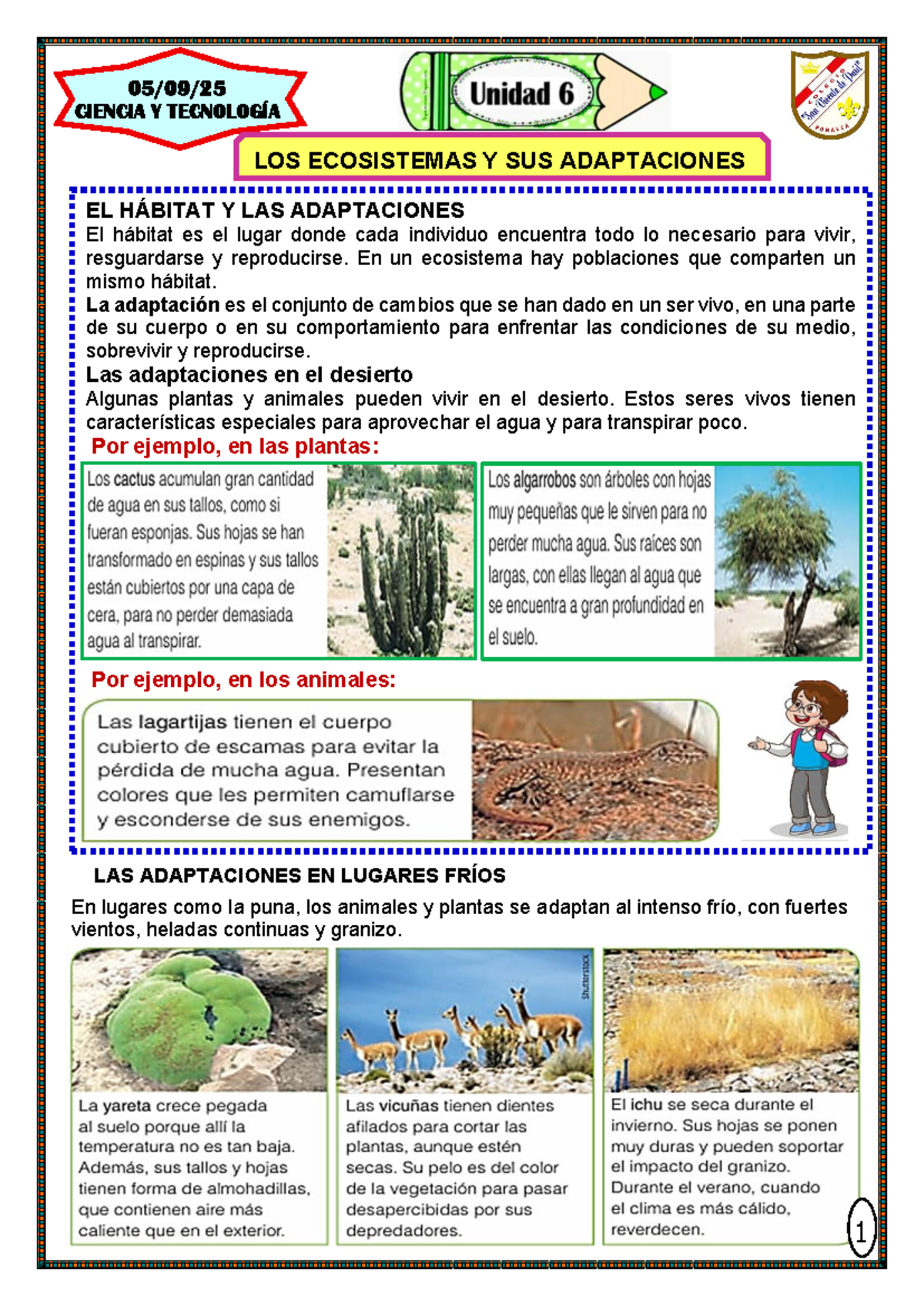 Adaptaciones en Ecosistemas: Hábitat y Supervivencia - U6 Silvia 2025 ...