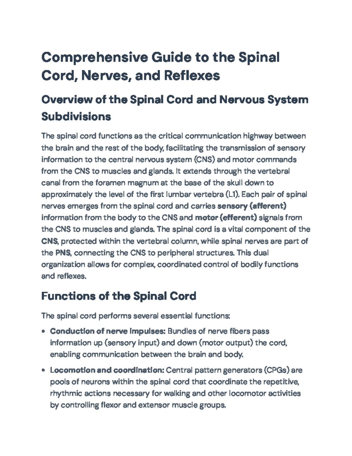 Comprehensive Guide to Spinal Cord, Nerves, and Reflexes (ANAT 101 ...