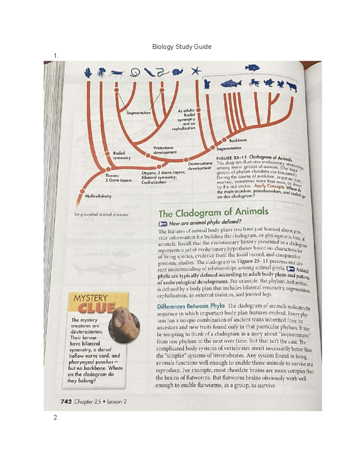 Biology Study Guide: Key Concepts and Vocabulary Overview - Biology ...