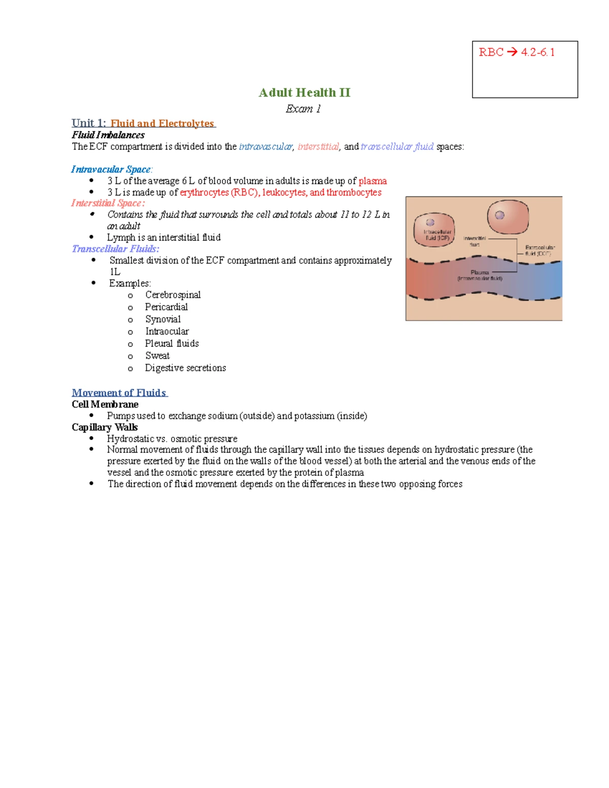 Practice Adult Health 1.2 Exam Review Questions and Answers - Studocu