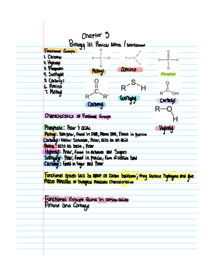 Cell Project Biol 101 - Part A Organelle Function Analogy Nucleus ...