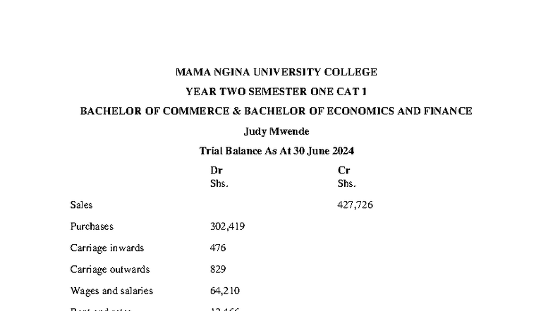 BAC 200 CAT 1 - Trial Balance & Financial Statements Analysis - Studocu