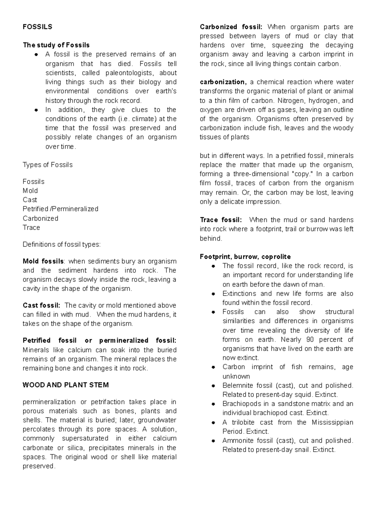 Bio Q3: Fossils and the Geologic Time Scale Overview - Studocu