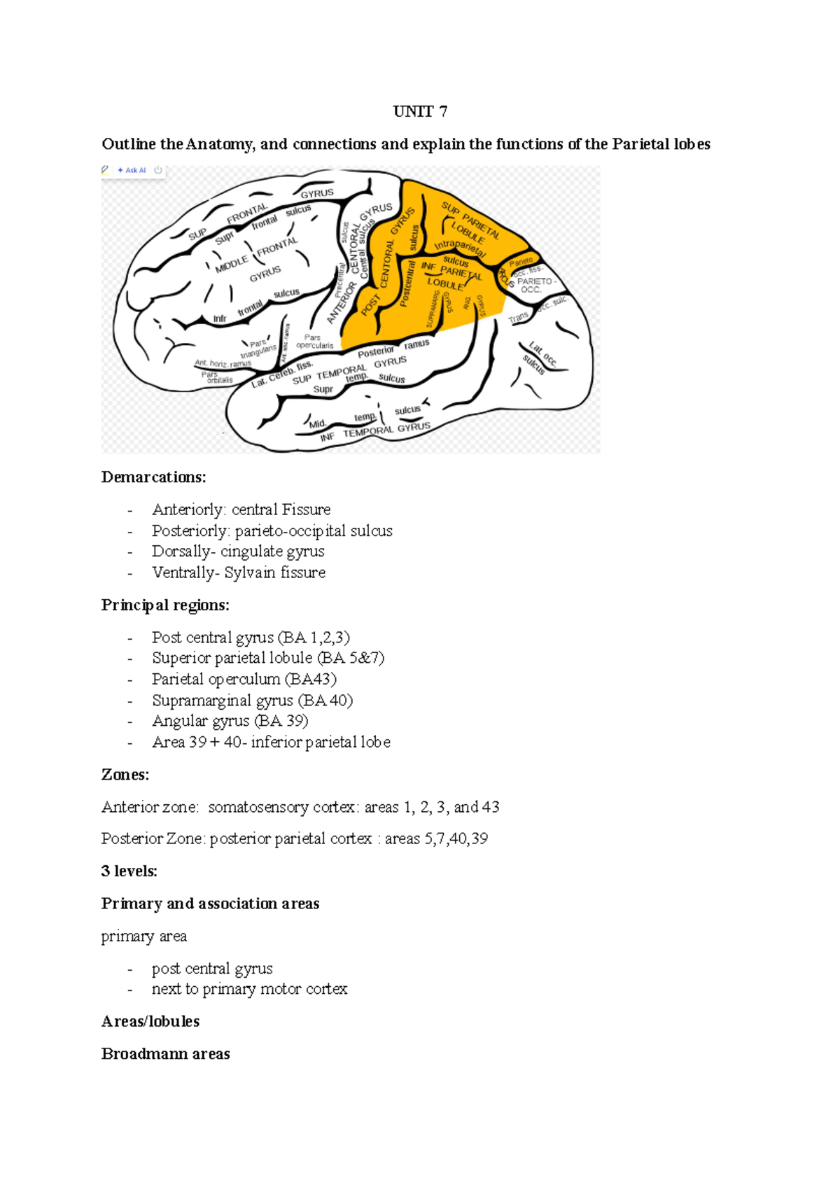 Neuro unit 7-9 notes - UNIT 7 Outline the Anatomy, and connections and ...