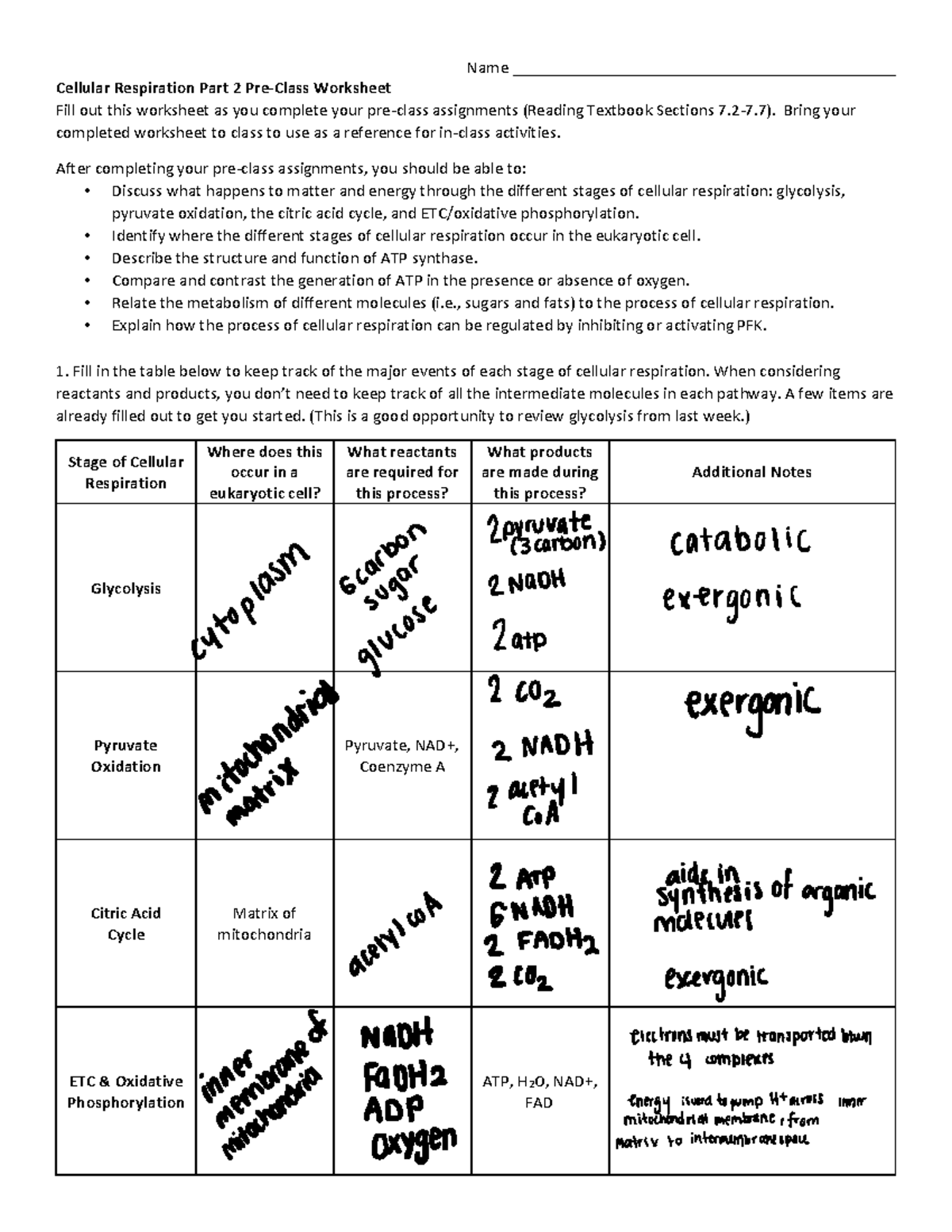 Cellular Respiration Chart Worksheet