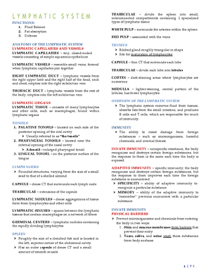 Nervous System - Nursing Note - N E R V O U S S Y S T E M Functions ...