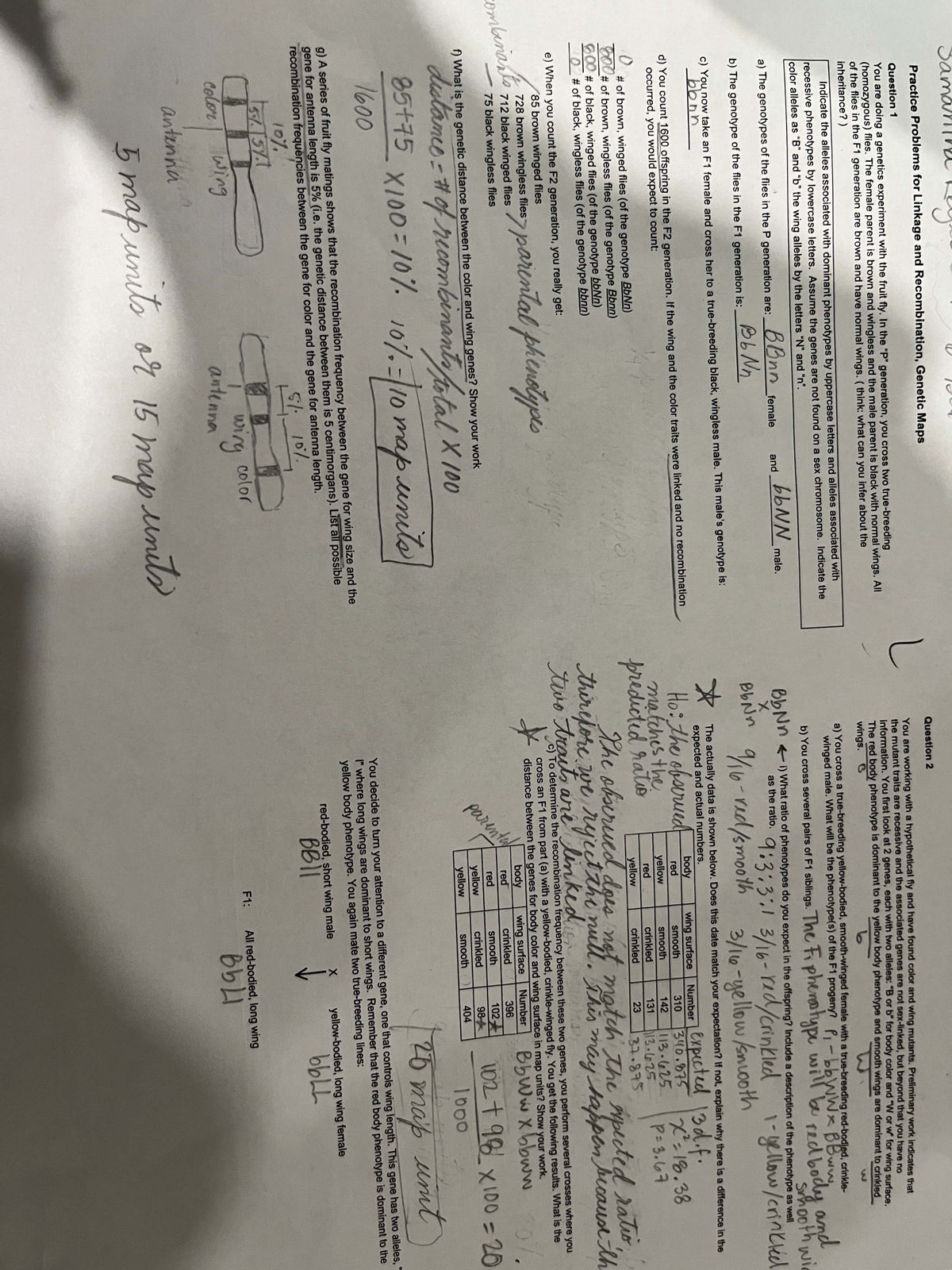 Practice Problems: Linkage, Recombination & Genetic Maps (AP Bio) - Studocu