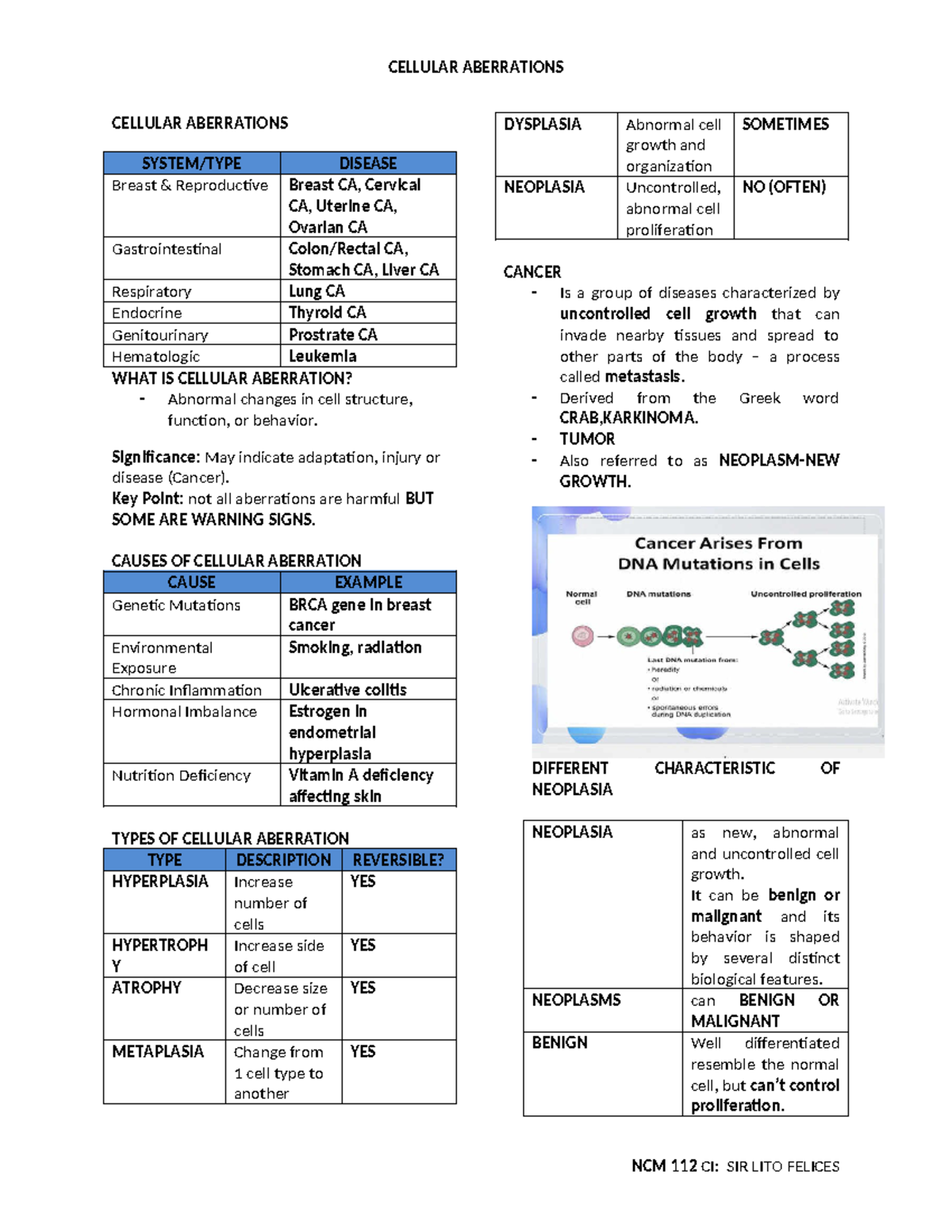 NCM 112 Cellular Aberrations: Understanding Dysplasia and Neoplasia ...