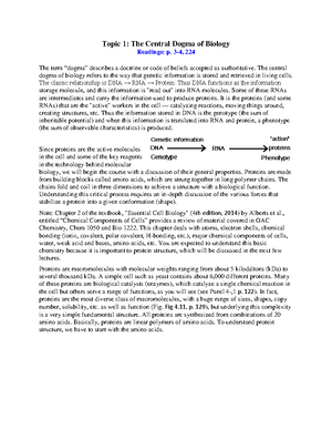 Biochemistry Script: Bread Making Process Explained (Assignment) - Studocu