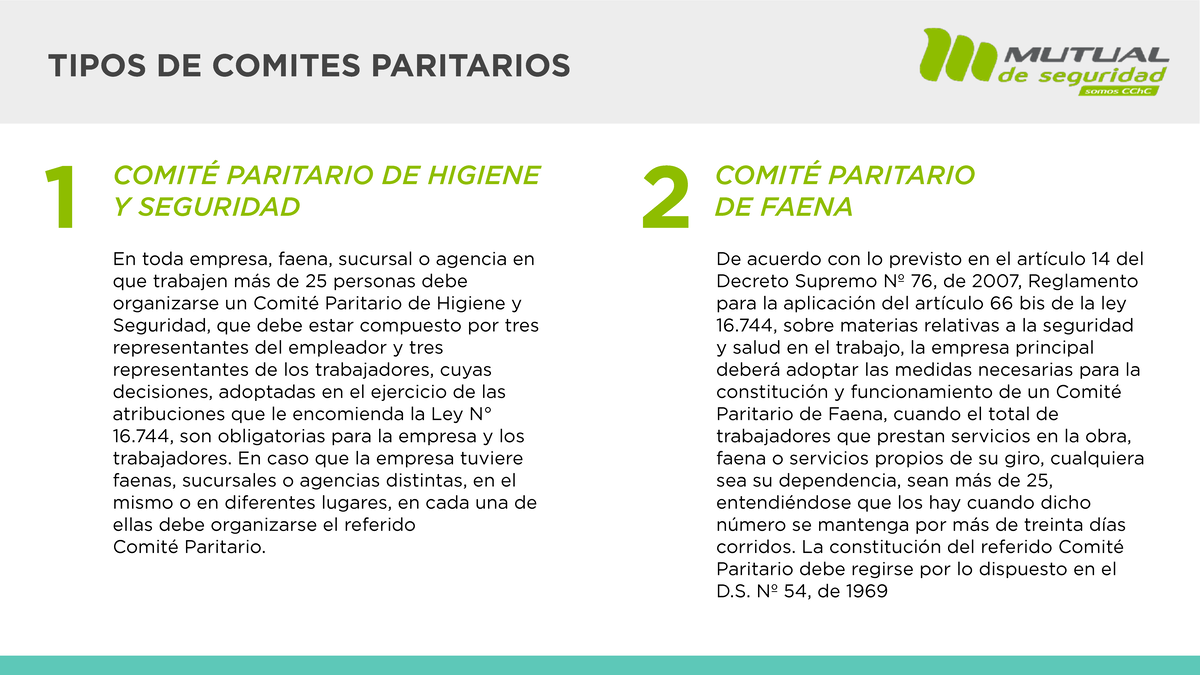 Tipos de Comités Paritarios: Higiene y Seguridad en el Trabajo - Studocu
