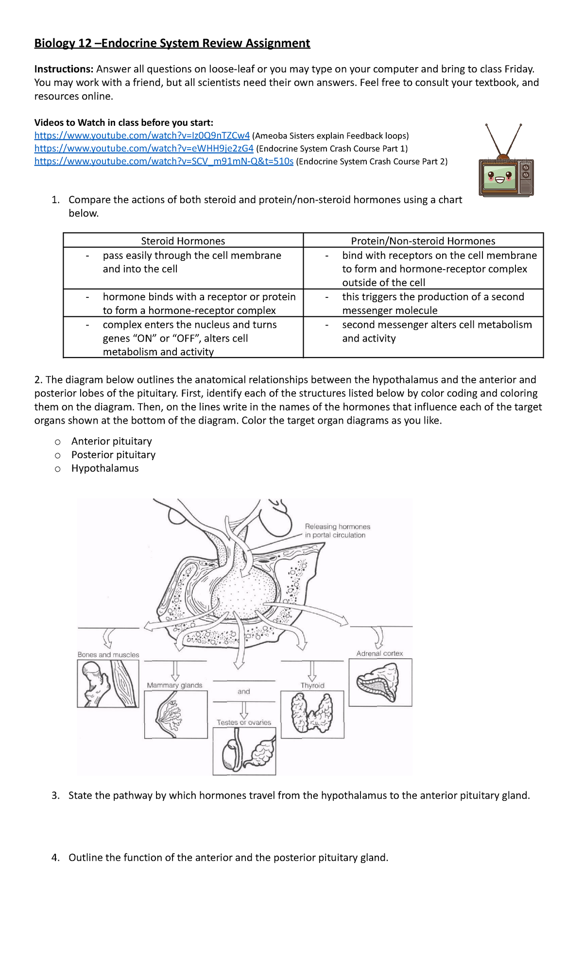 Biology 12 - Endocrine System Review Assignment - Sunny Won - Studocu