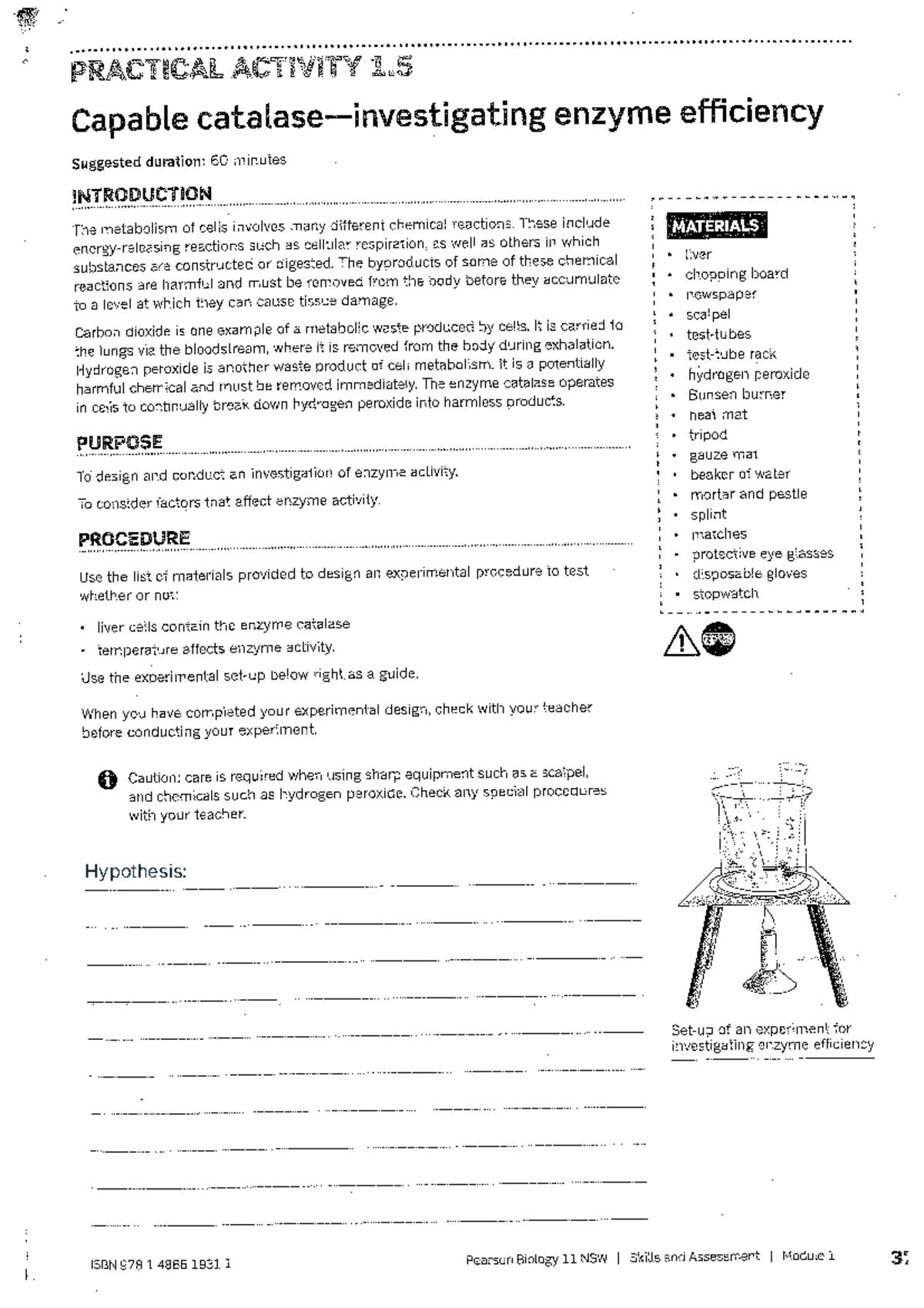 1.5 Catalase Liver Practical: Enzyme Activity and Reaction Rates - Studocu