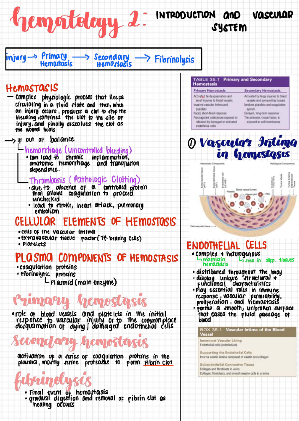 HEMA 2: Introduction to Hemostasis and Vascular Injury - Studocu