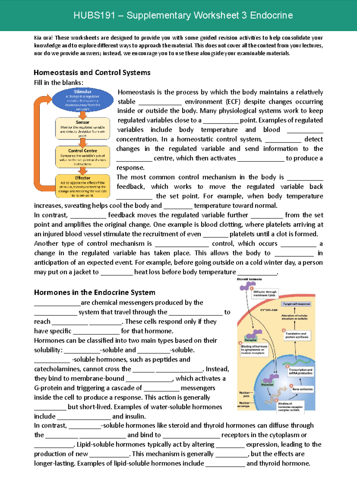 HUBS191 Supplementary Worksheet 3: Endocrine System Overview - Studocu