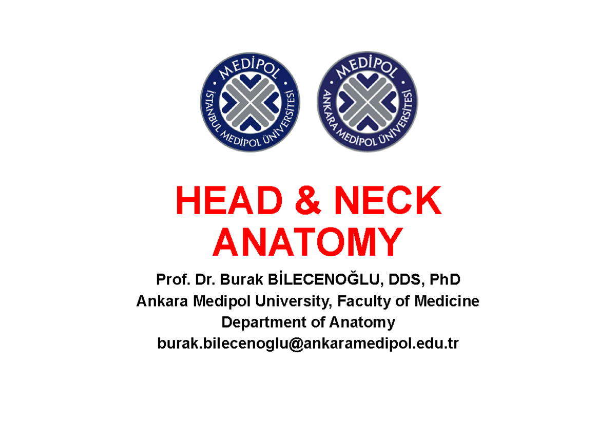 Head and Neck Anatomy: Detailed Overview of the Cranium and TMJ (IMU SLT 06) - HEAD & NECK - Studocu