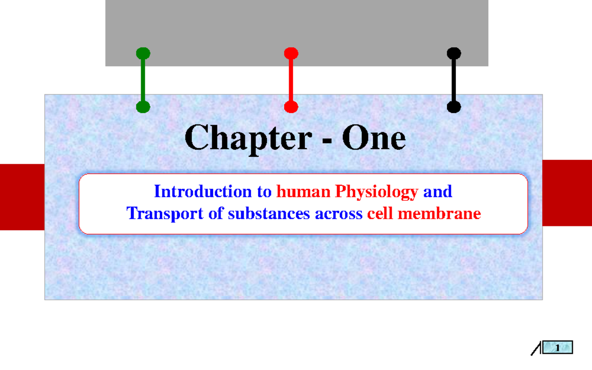 Physiology 101: Overview of Homeostasis & Cell Membrane Transport - Studocu