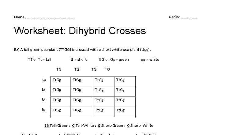 Dihybrid Crosses Worksheet: Genetics Study Guide - Studocu