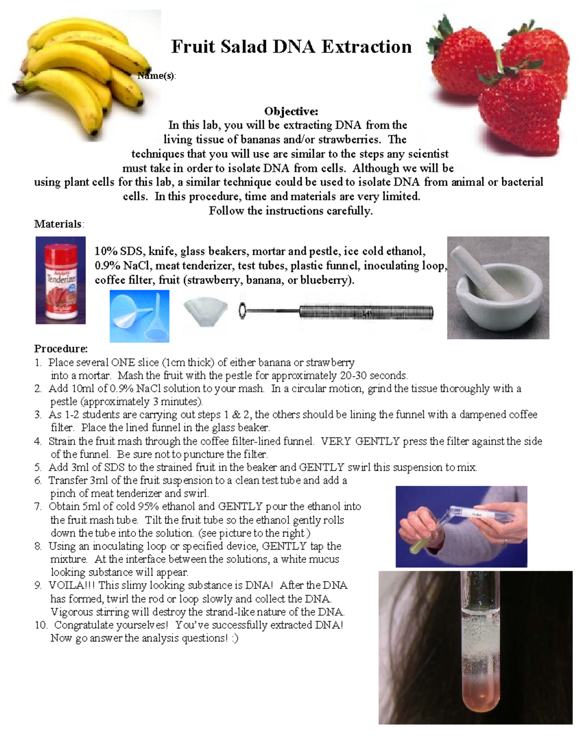 Fruit DNA Extraction Lab (BIO 101) - Techniques & Procedure - Studocu