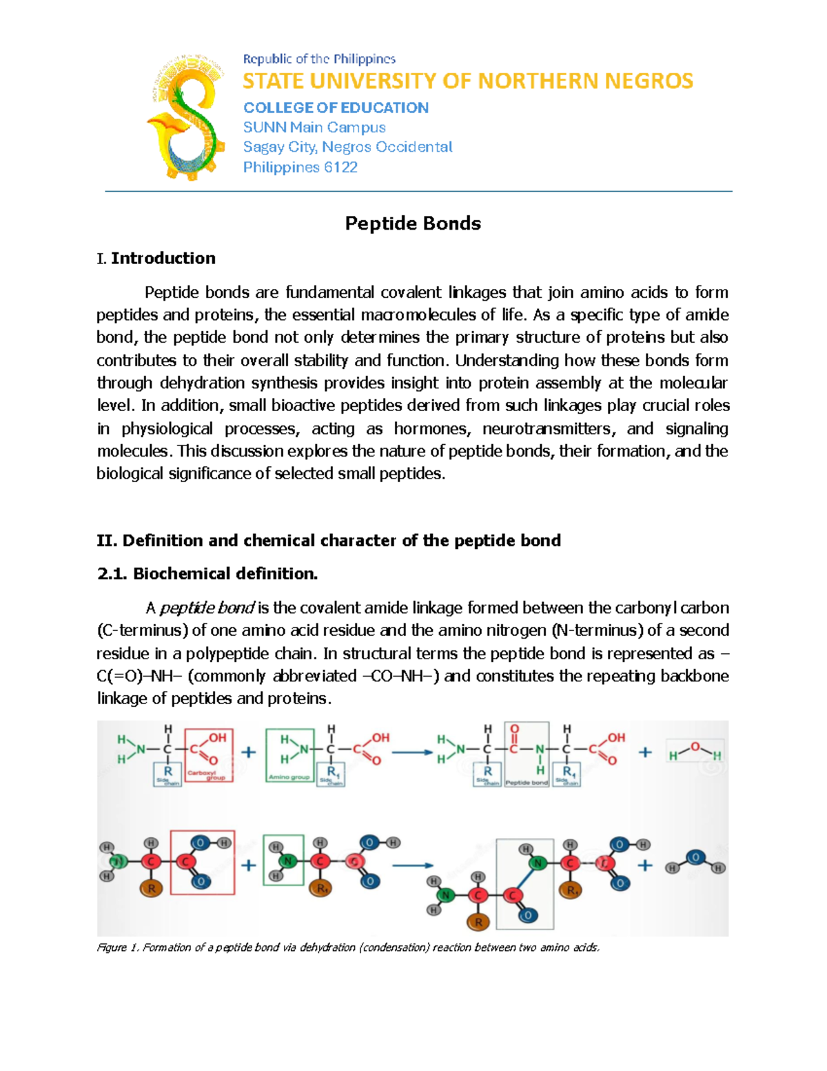 Biochemistry Project 3: Understanding Peptide Bonds and Bioactive ...