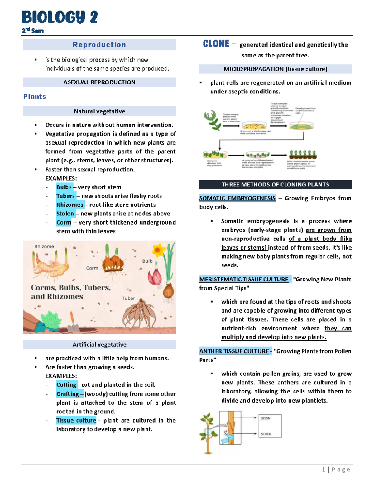 Biology 2 4th quarter pdf - 2 nd Sem Reproduction is the biological ...