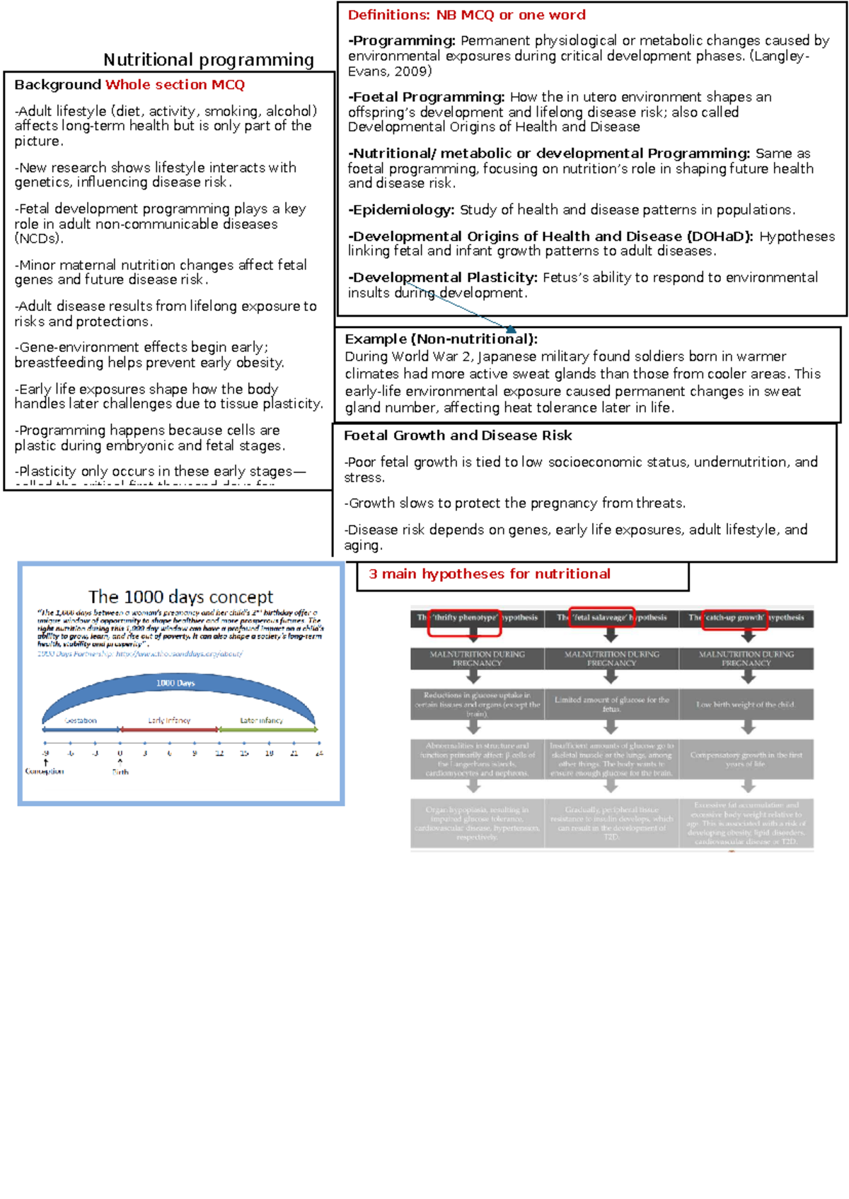 Nutritional Programming: Key Concepts and MCQ Overview (NB) - Studocu