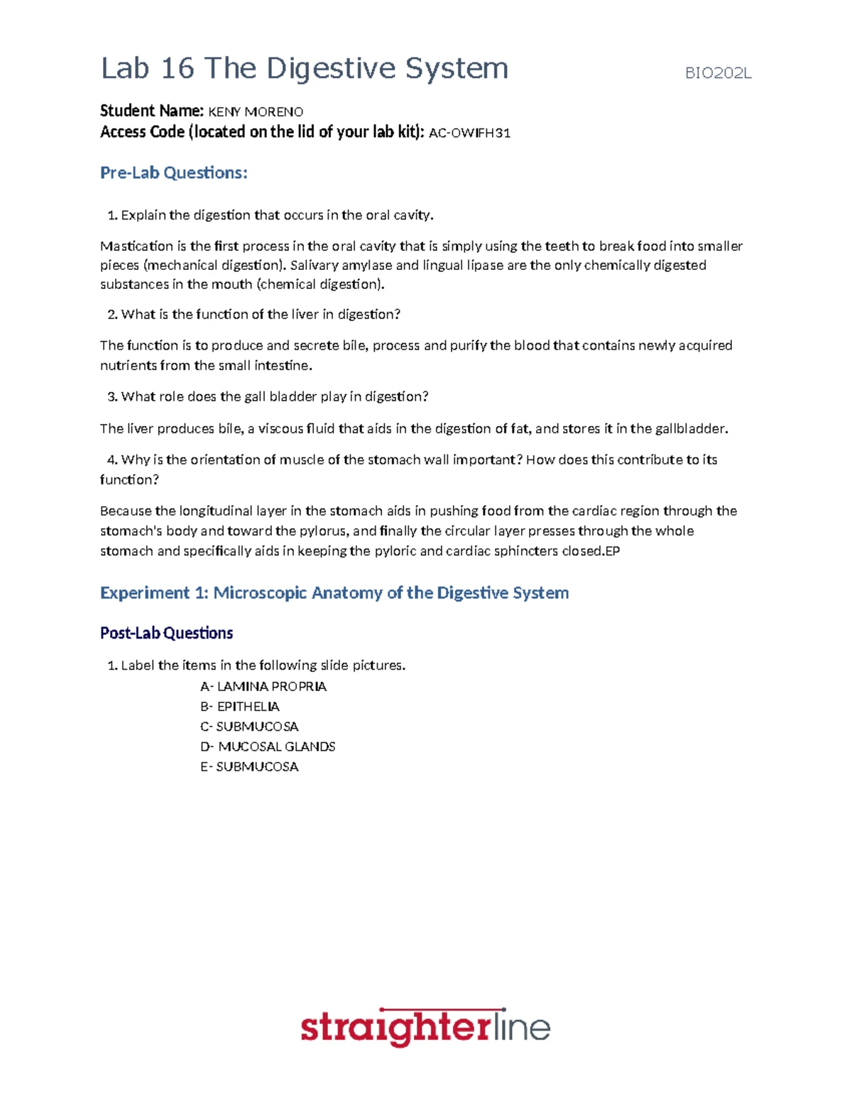 BIO202L Lab 16: Digestive System Anatomy & Functions - KENY Moreno ...