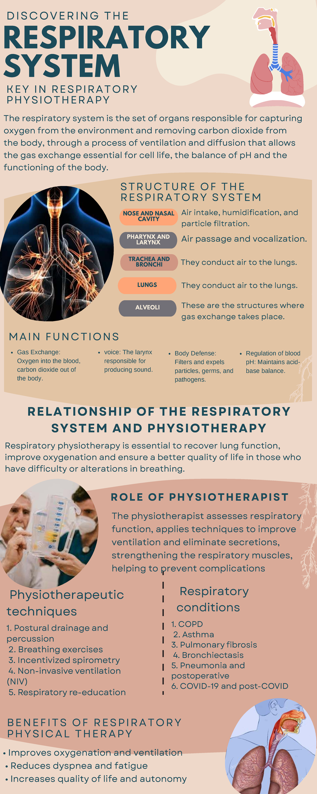 Respiratory System Overview in Respiratory Physiotherapy (PHYS 101 ...