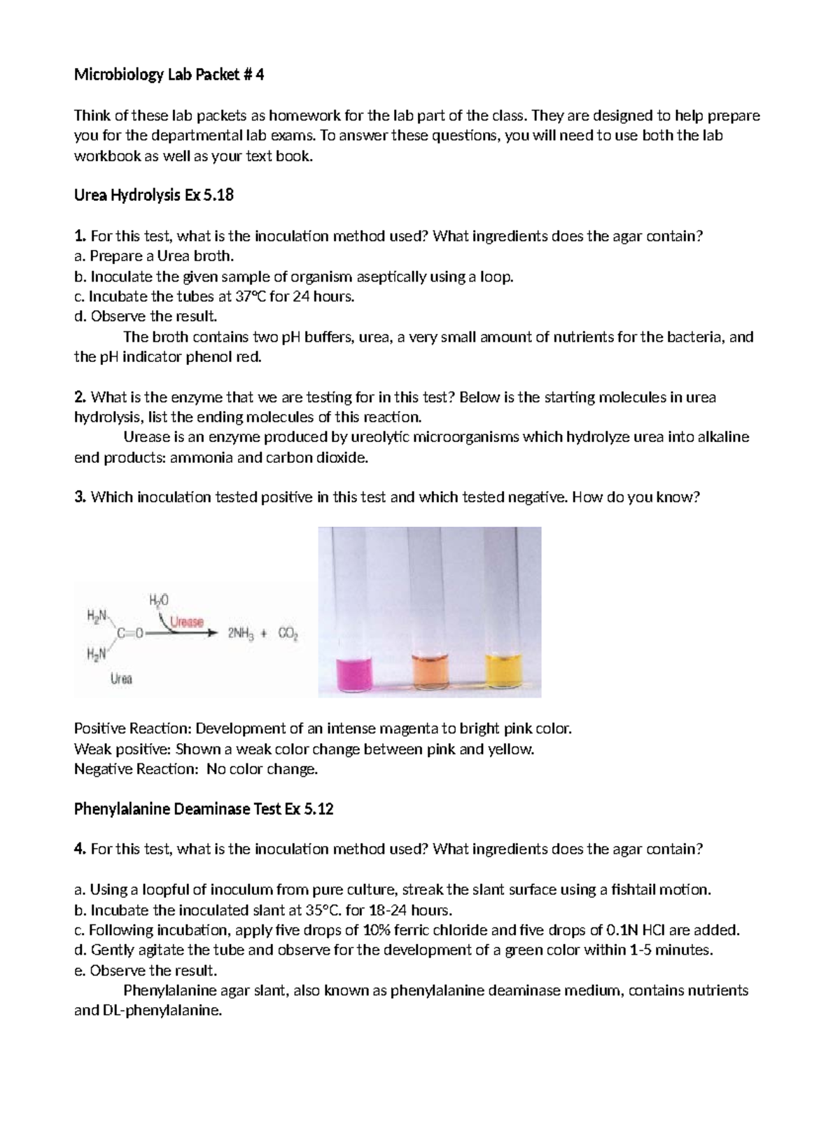Lab Packet 4 - micro lab - Microbiology Lab Packet # 4 Think of these ...