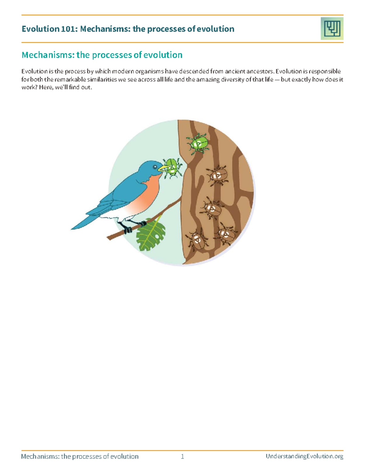 Evolution 101: Mechanisms of Evolutionary Change (Evo101 03) - Studocu