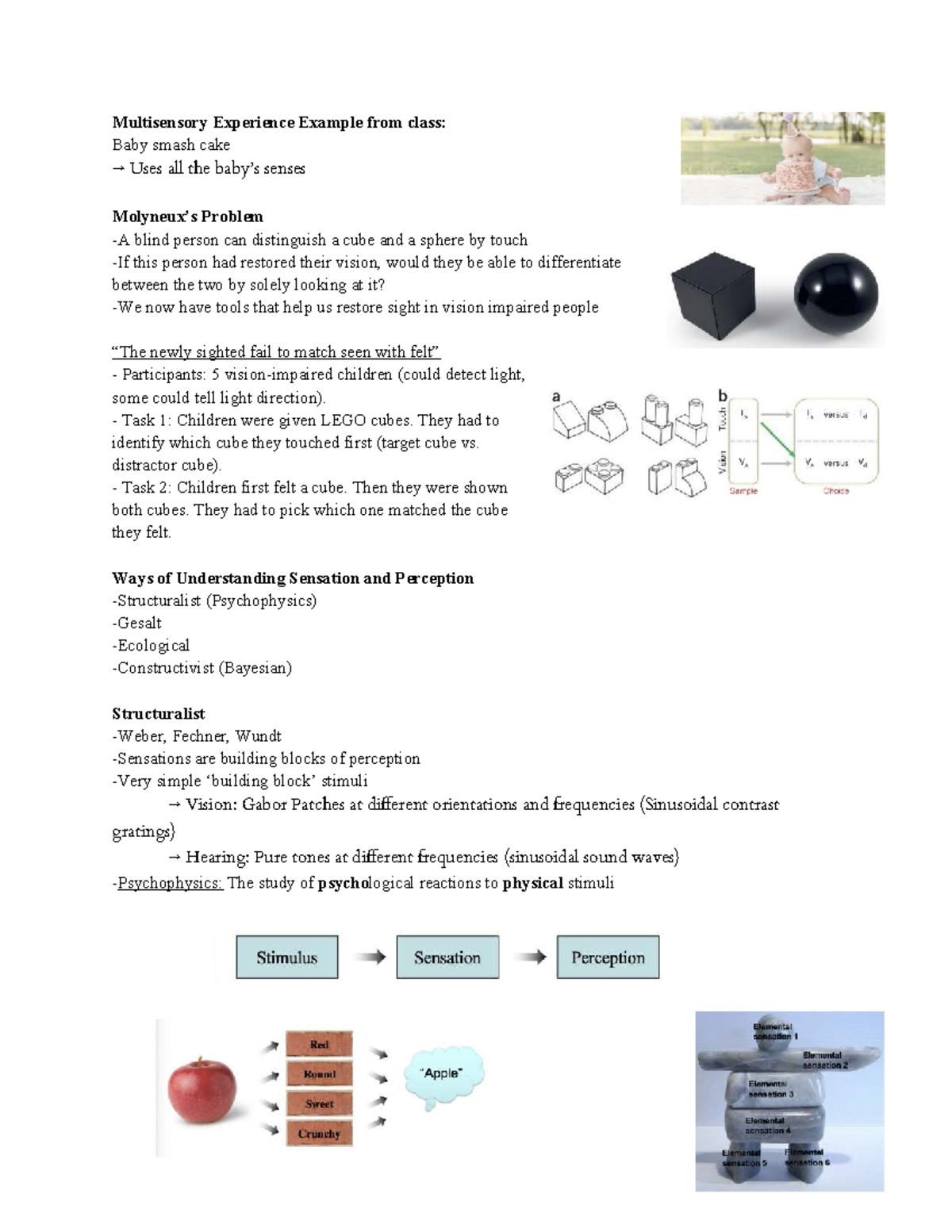 PSY 101: Understanding Perception Through Multisensory Experiences ...