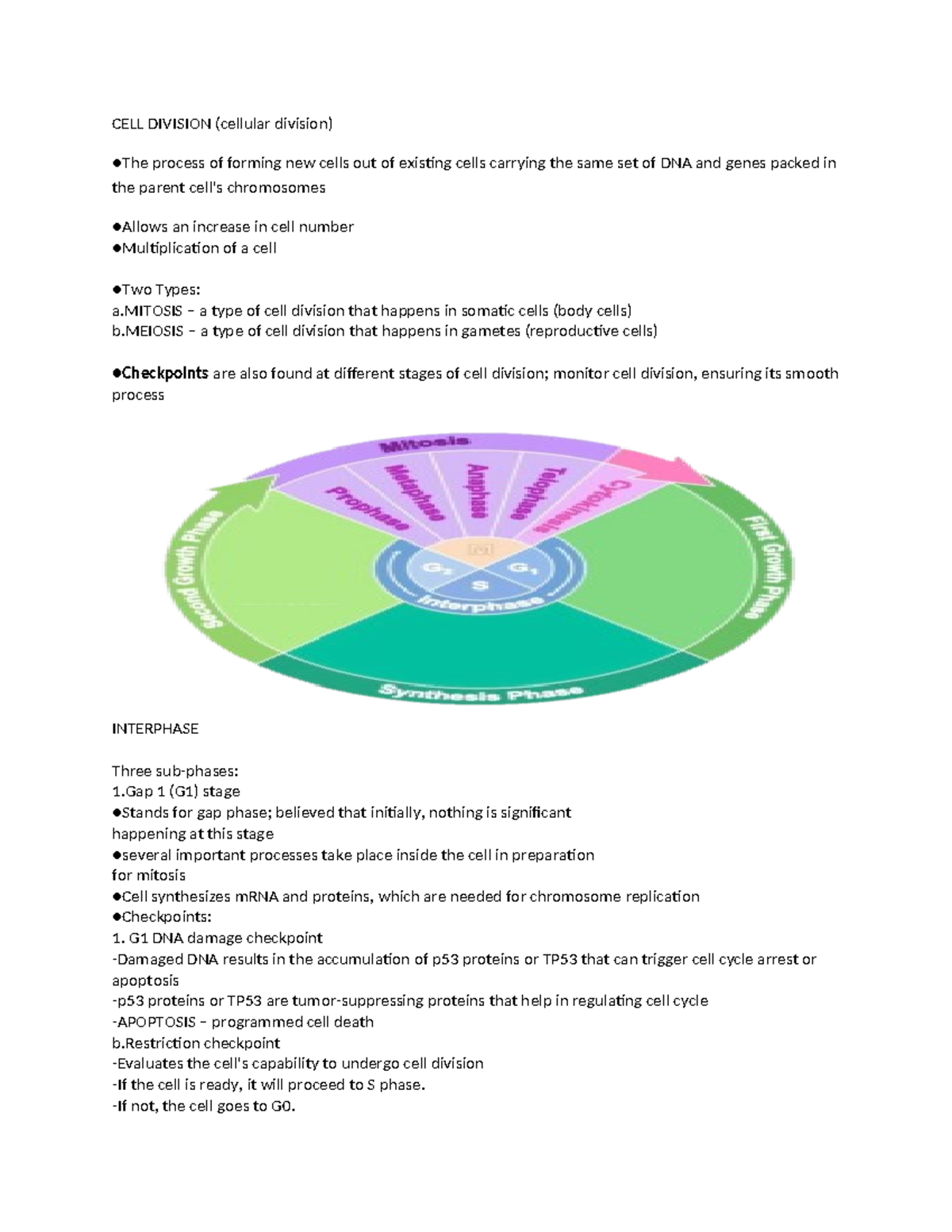 CELL- Division: Mitosis & Meiosis Overview with Stages and Checkpoints ...