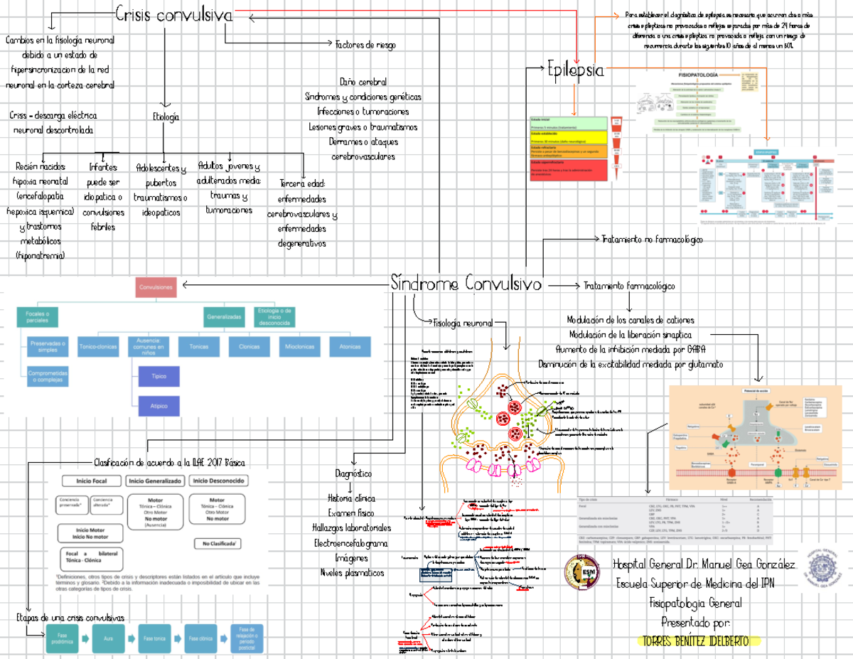 Sindrome Convulsivo y Epilepsia - Fisiopatología General IPN - Studocu