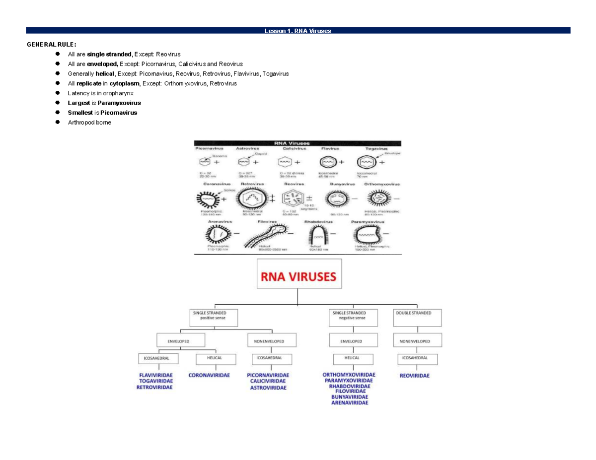 Module 6 & 7: RNA Viruses and Laboratory Diagnosis Overview - Studocu