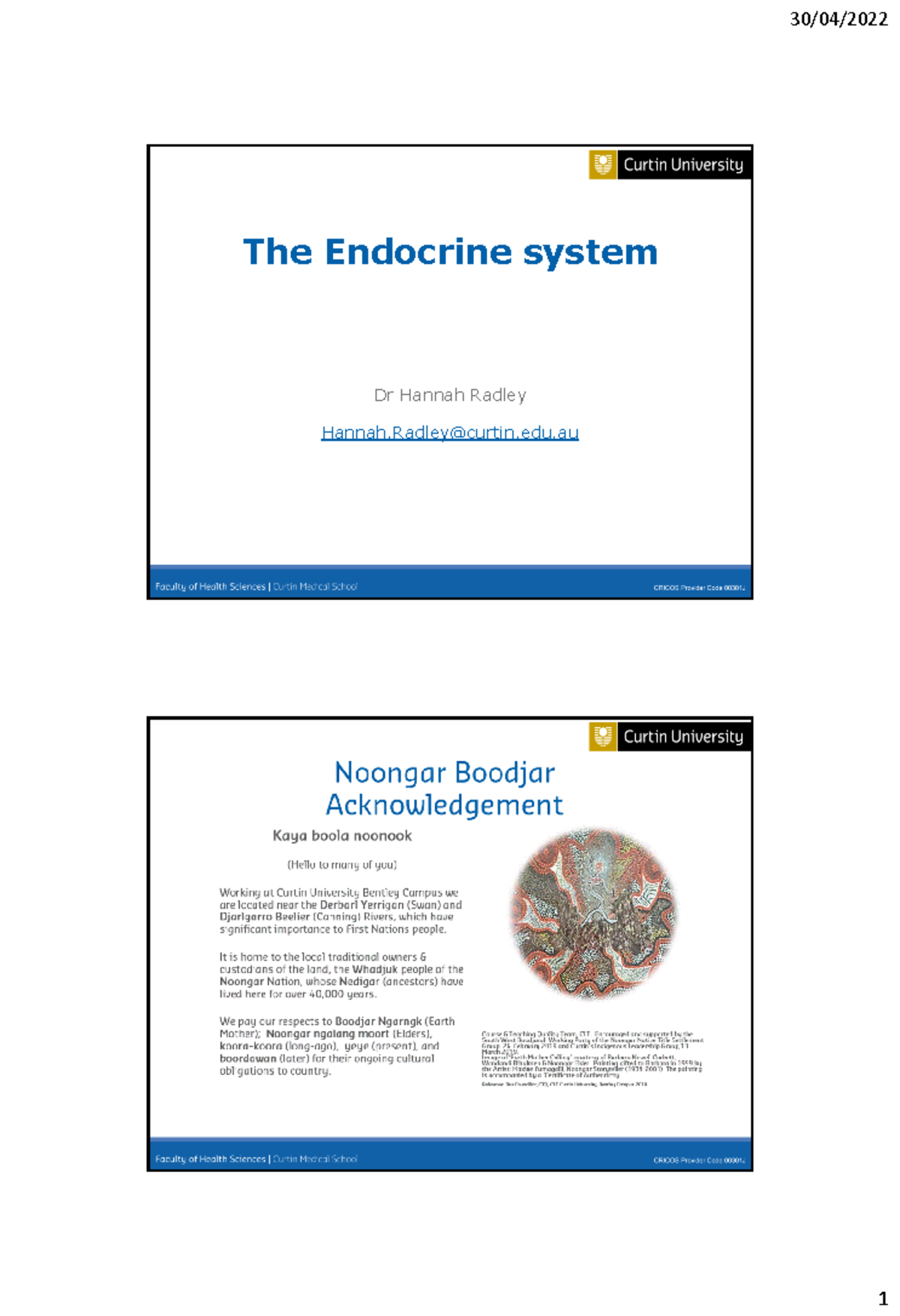 Endocrine System Overview: Functions, Hormones & Regulation (BIOL123 ...