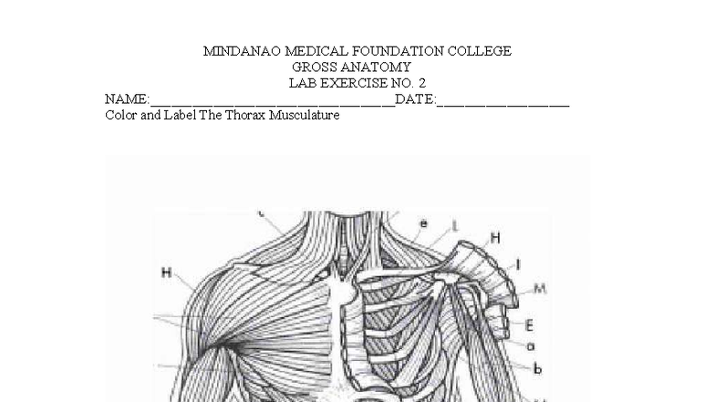 MINDANAO MEDICAL FOUNDATION COLLEGE GROSS ANATOMY LAB EXERCISE NO. 2 ...