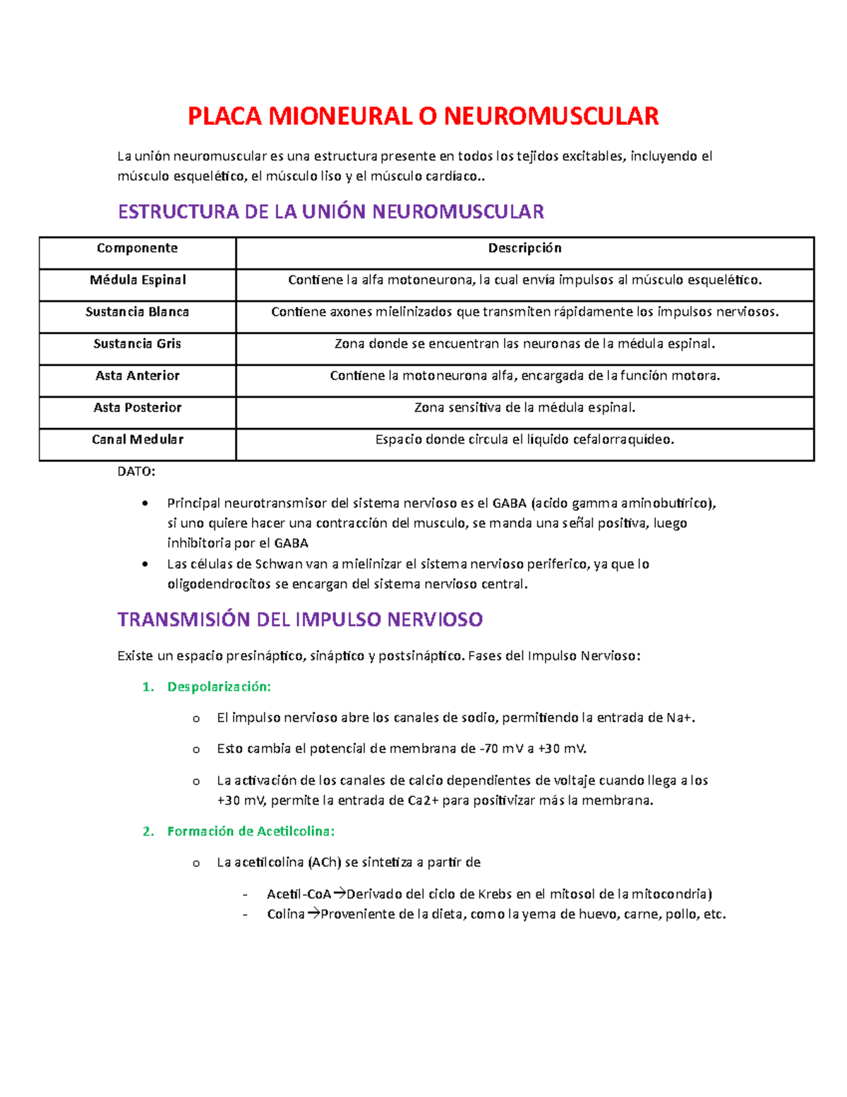 Placa Mioneural O Neuromuscular (DR - PLACA MIONEURAL O NEUROMUSCULAR ...