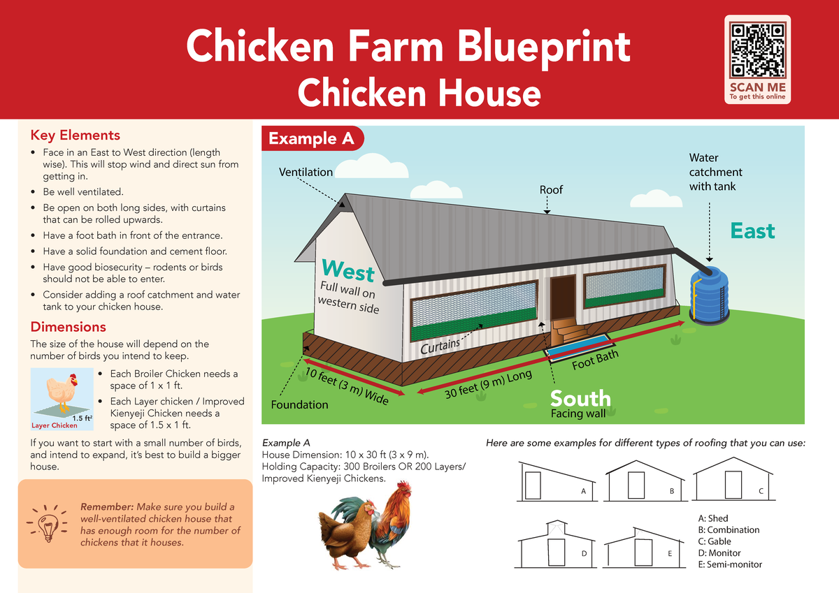 Chicken Farm Blueprint: Key Elements for Optimal Chicken House Design ...