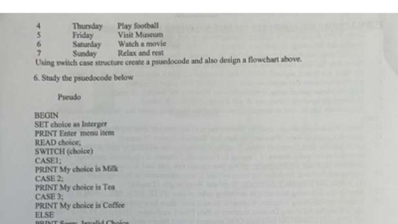 COMPUTER STUDIES HOLIDAY ASSIGNMENTS: Pseudocode & Flowchart Analysis ...