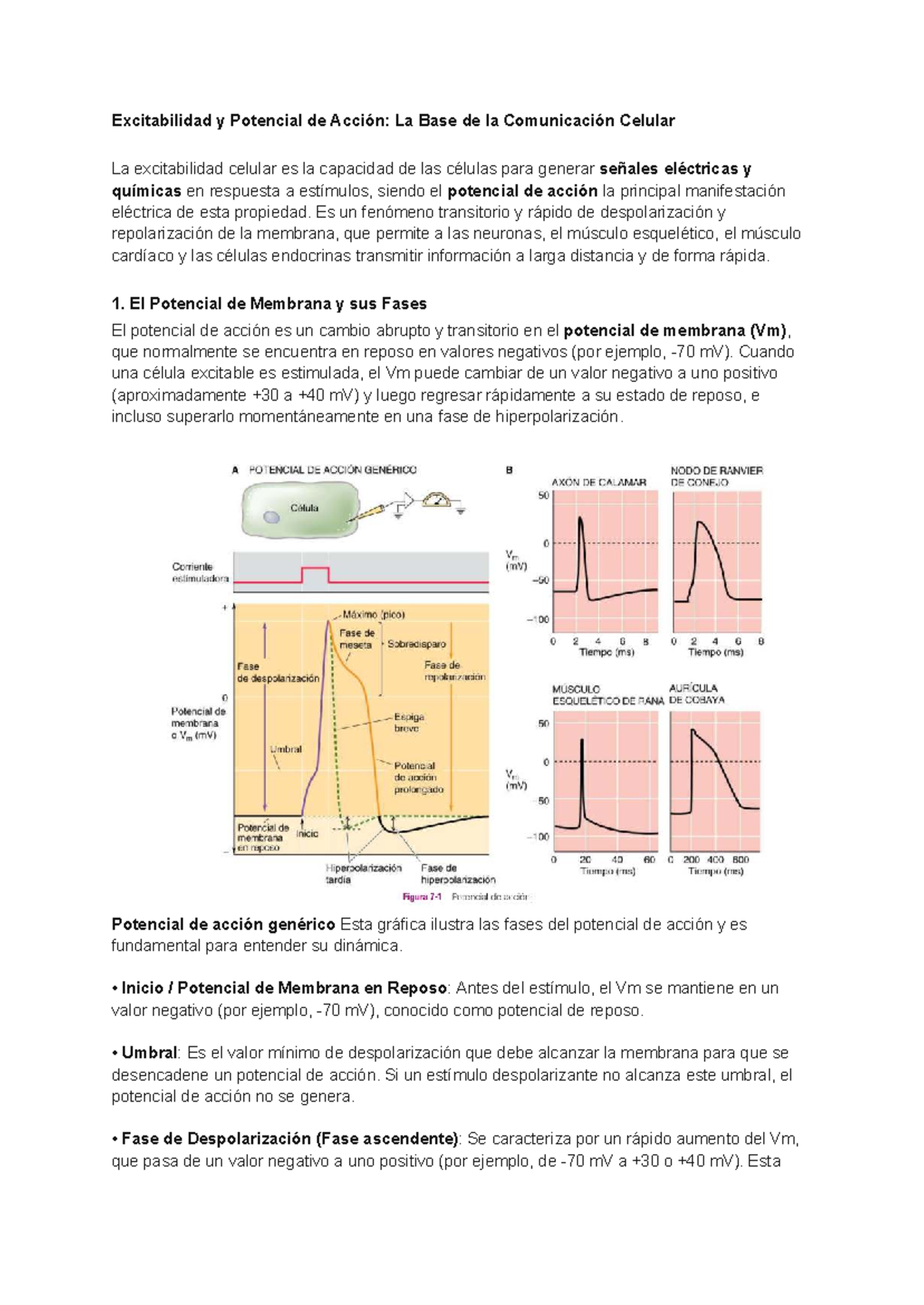 Resumen de Excitabilidad y Potencial de Acción (Curso: Biología Celular ...