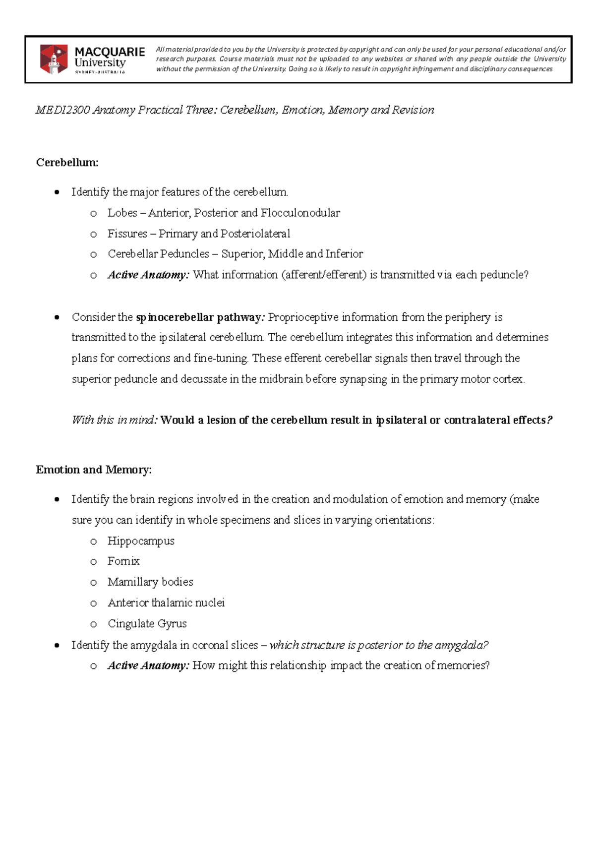 MEDI2300 Anatomy Practical 3: Cerebellum, Emotion & Memory Review - Studocu