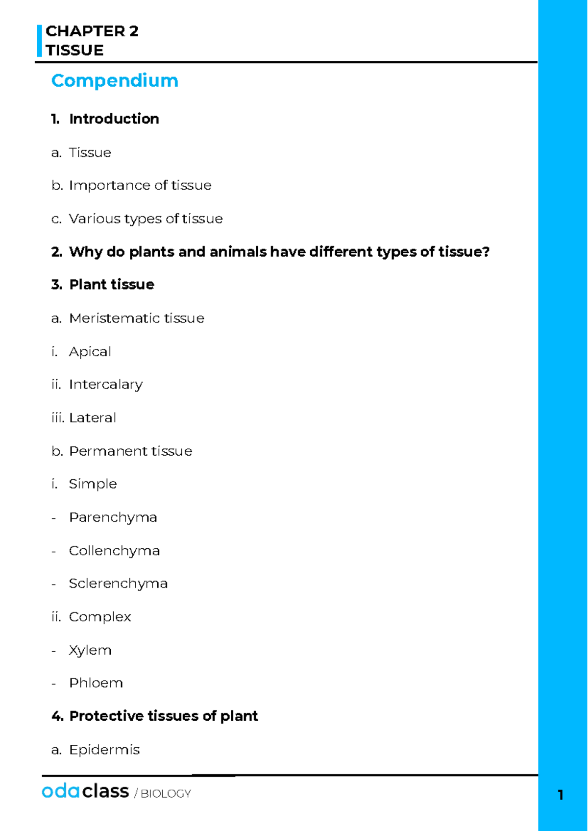 CH2 - Chapter 2: Tissue Types and Their Functions - Studocu