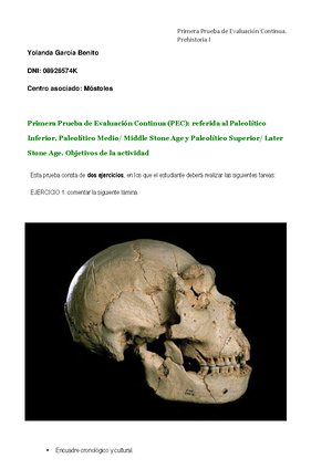 Las azagayas - artículo - ANÁLISIS TECNO-FUNCIONAL DE LAS AZAGAYAS DE ...