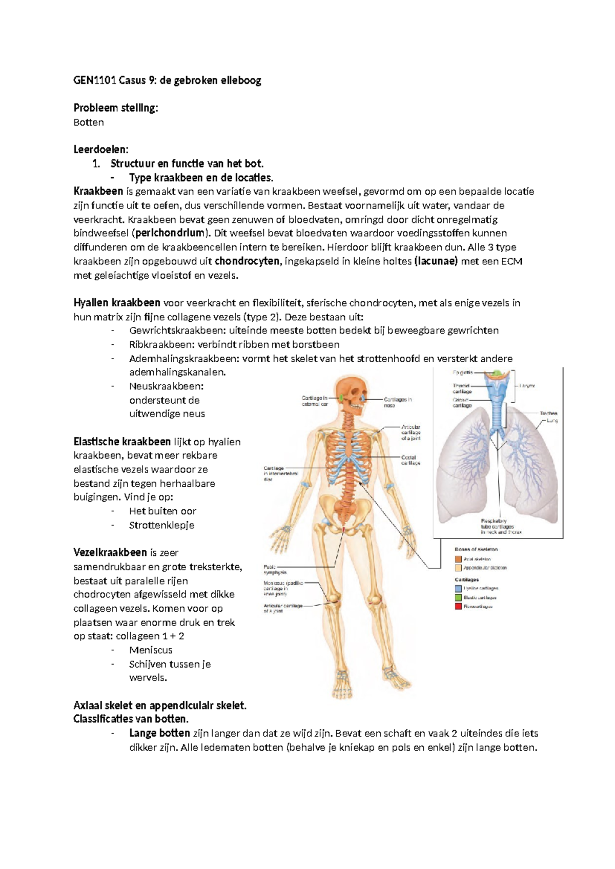 GEN1101 Casus 9: Anatomie en Ontwikkeling van Bot en Kraakbeen ...