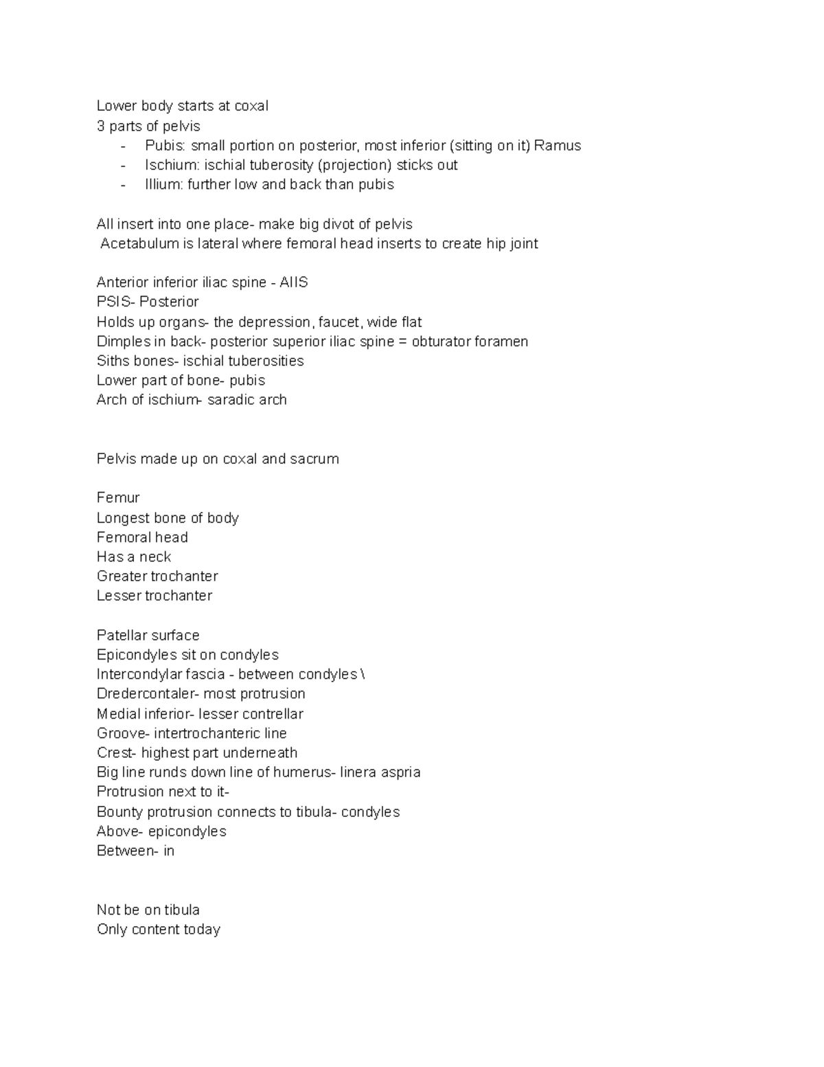 Understanding Neck Anatomy and Movements: A Comprehensive Guide ...