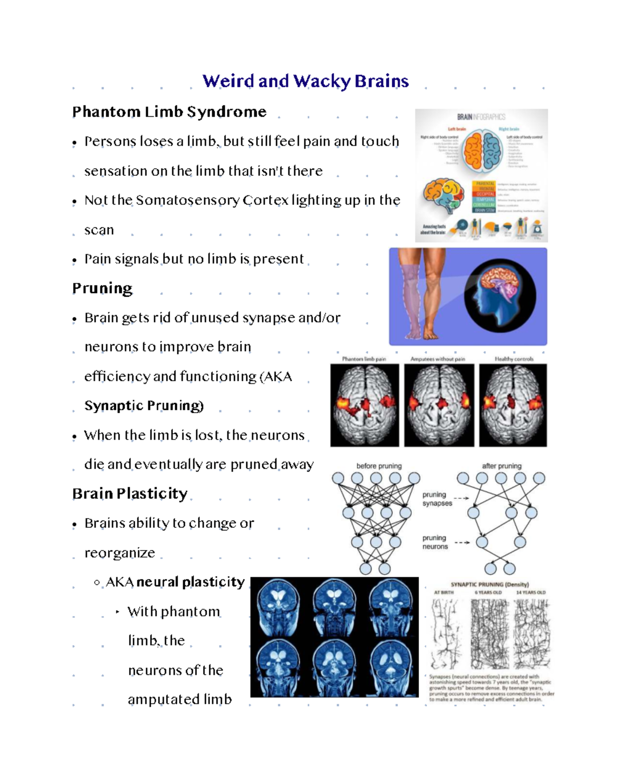 Weird and Wacky Brains - AP Psych Notes on Phantom Limb Syndrome - Studocu