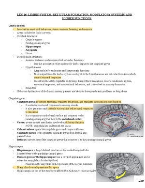 [Solved] Muscles that oppose or reverse a particular movement are ...