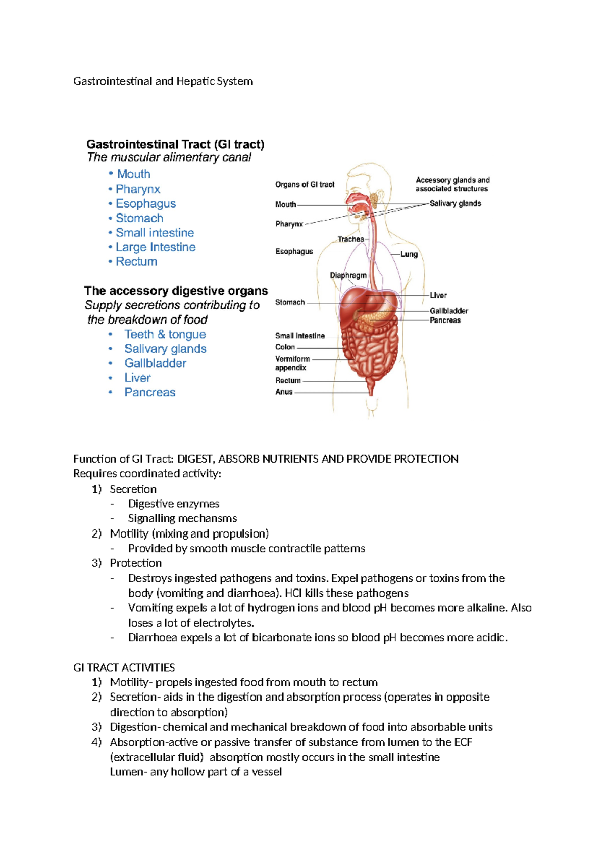 Gastrointestinal & Hepatic System Overview - Anatomy & Functions - Studocu